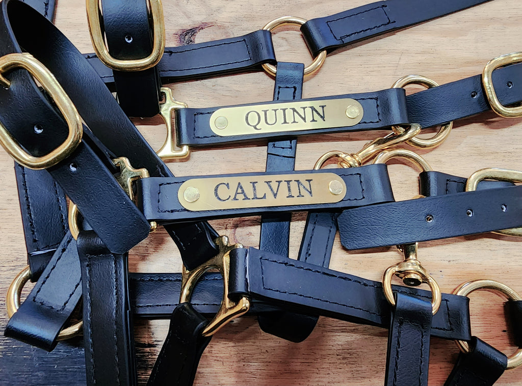DQ Diamond flexible PVC headcollar – DQ Saddlery