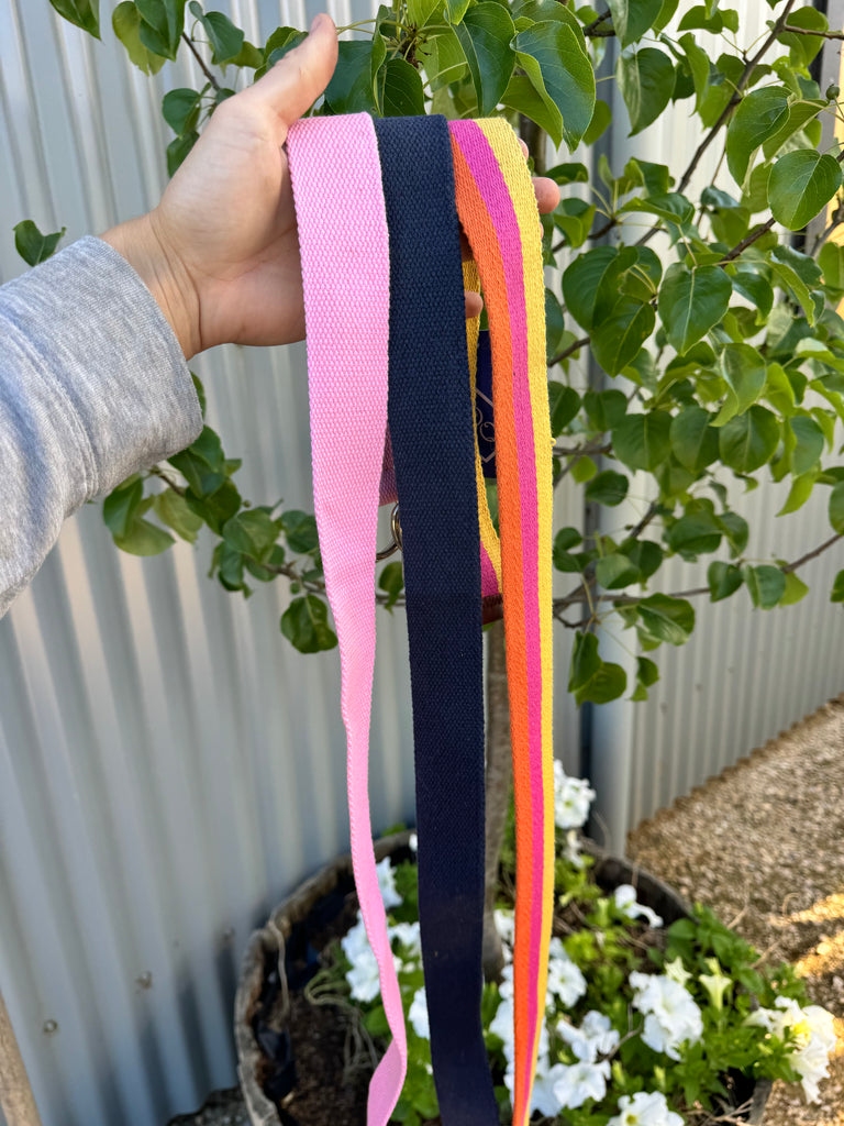 Fabric Belts – DQ Saddlery