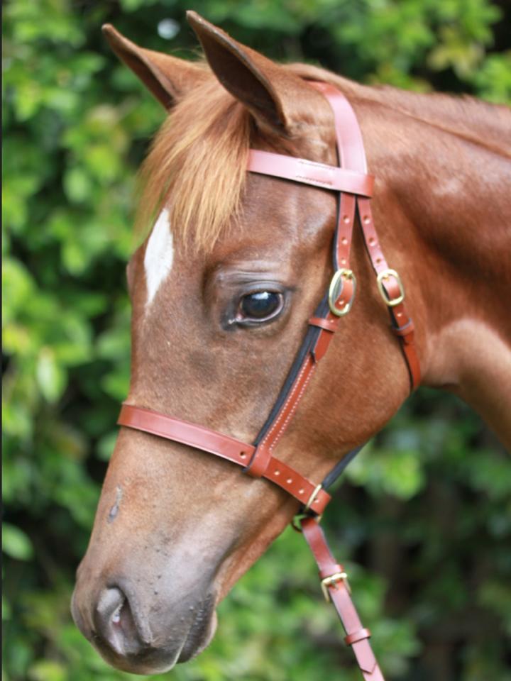 David Quayle Custom Made Butterfly Lead – DQ Saddlery