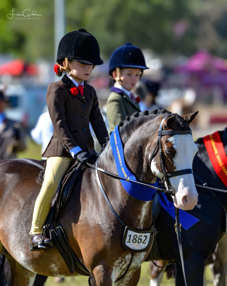 David Quayle Custom Leading Rein – DQ Saddlery